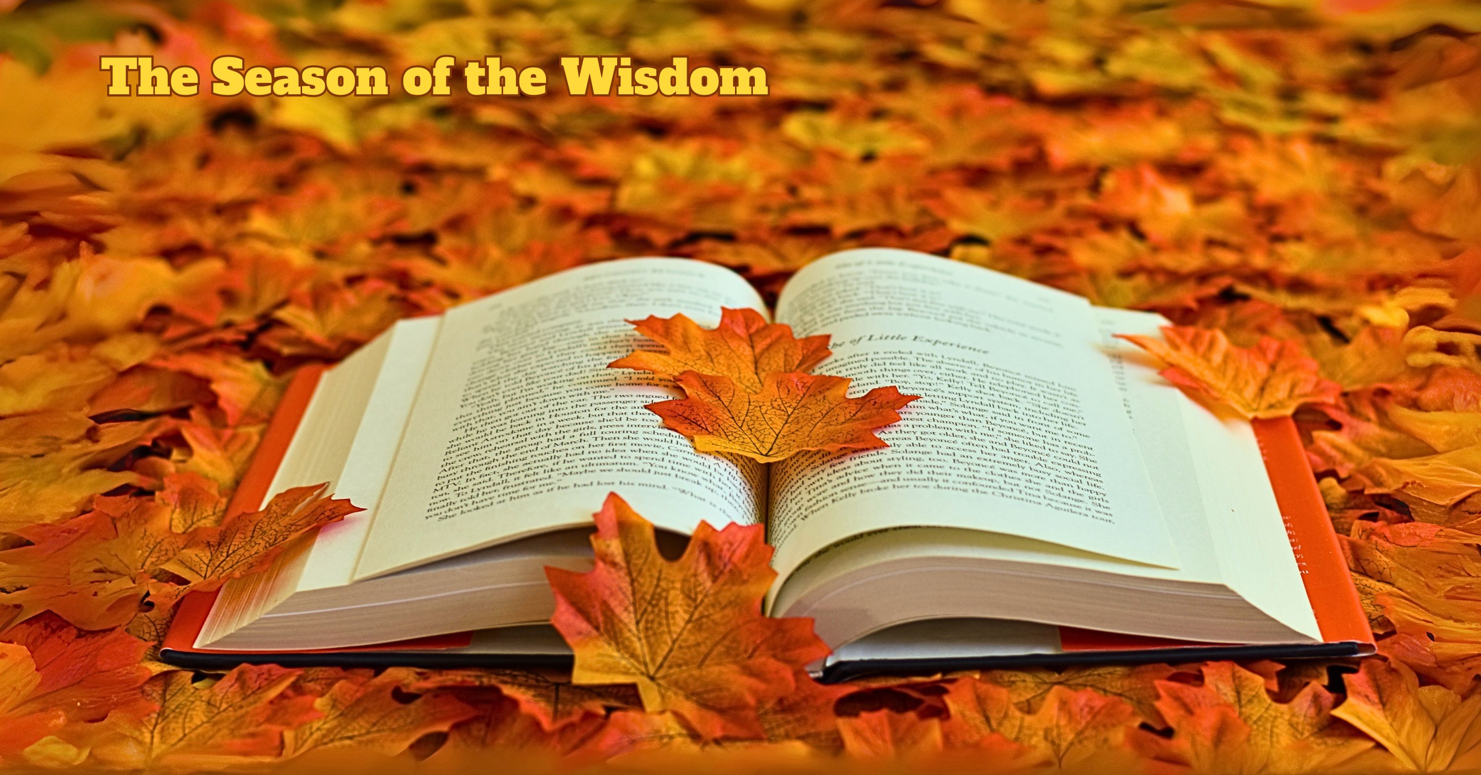 The Season of the Wisdom – Georgi Kisyov – Reflections & Books