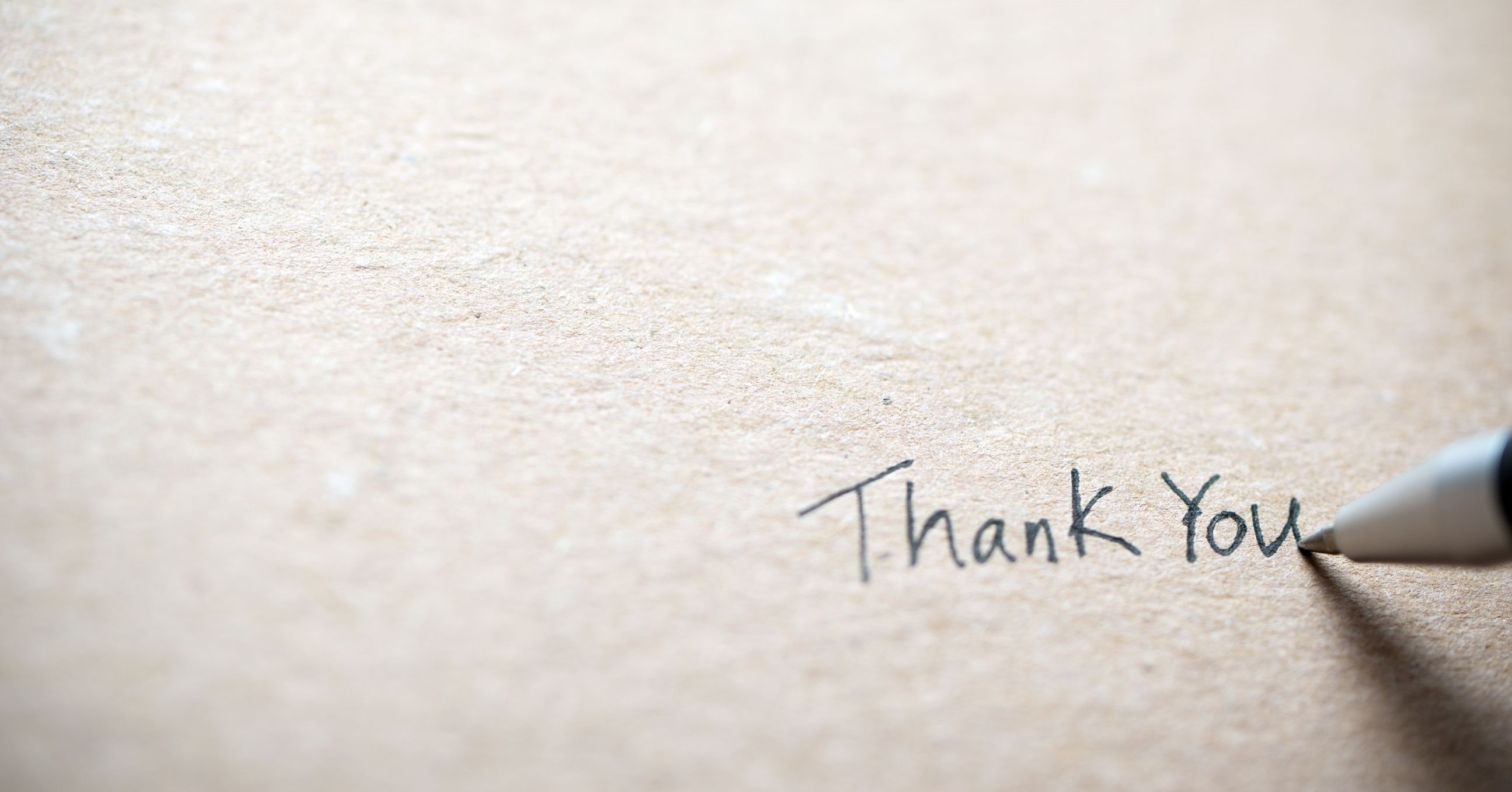 Thank you! – Georgi Kisyov – Reflections & Books