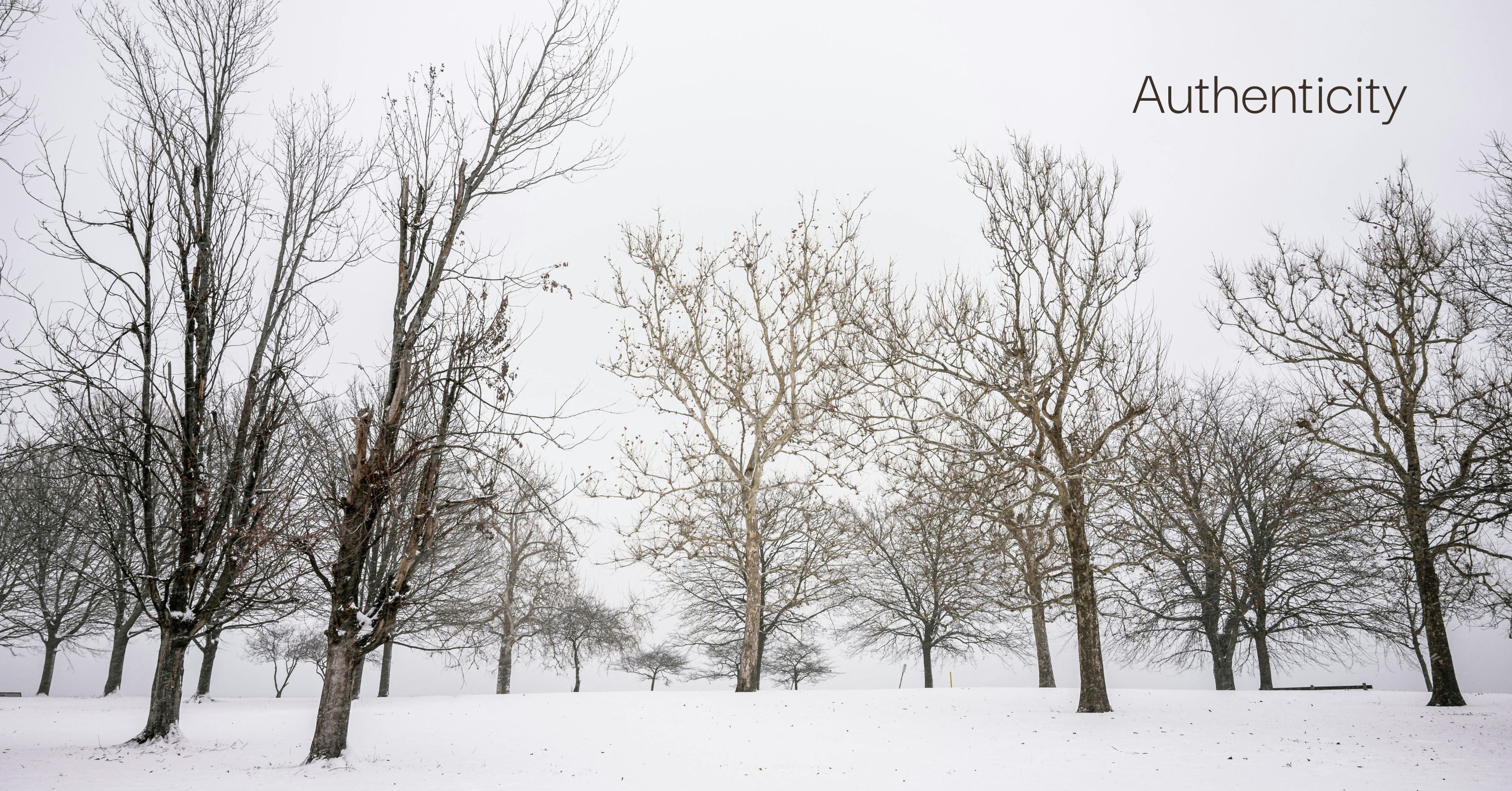 The Authenticity of Winter – Georgi Kisyov – Reflections & Books