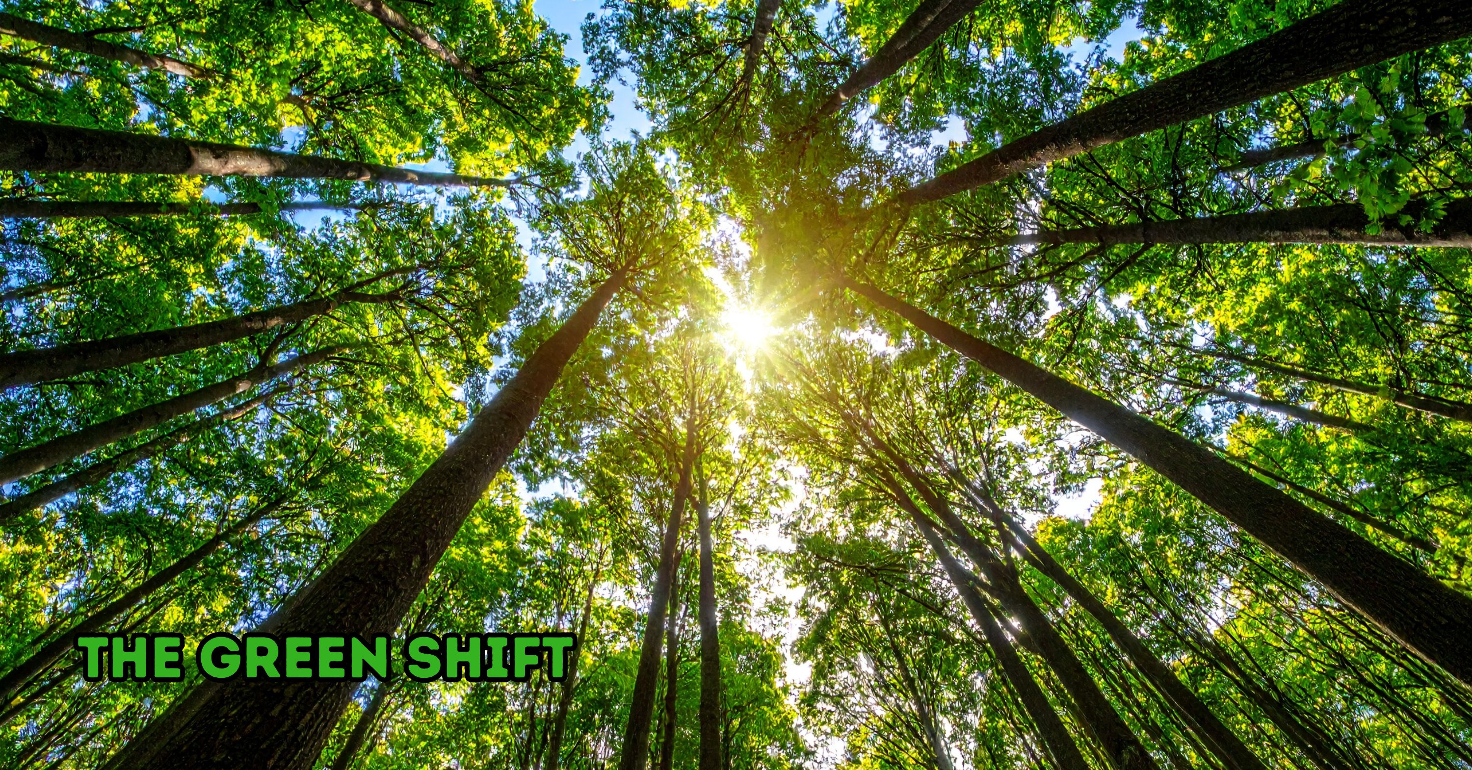 The Green Shift – Georgi Kisyov – Reflections & Books
