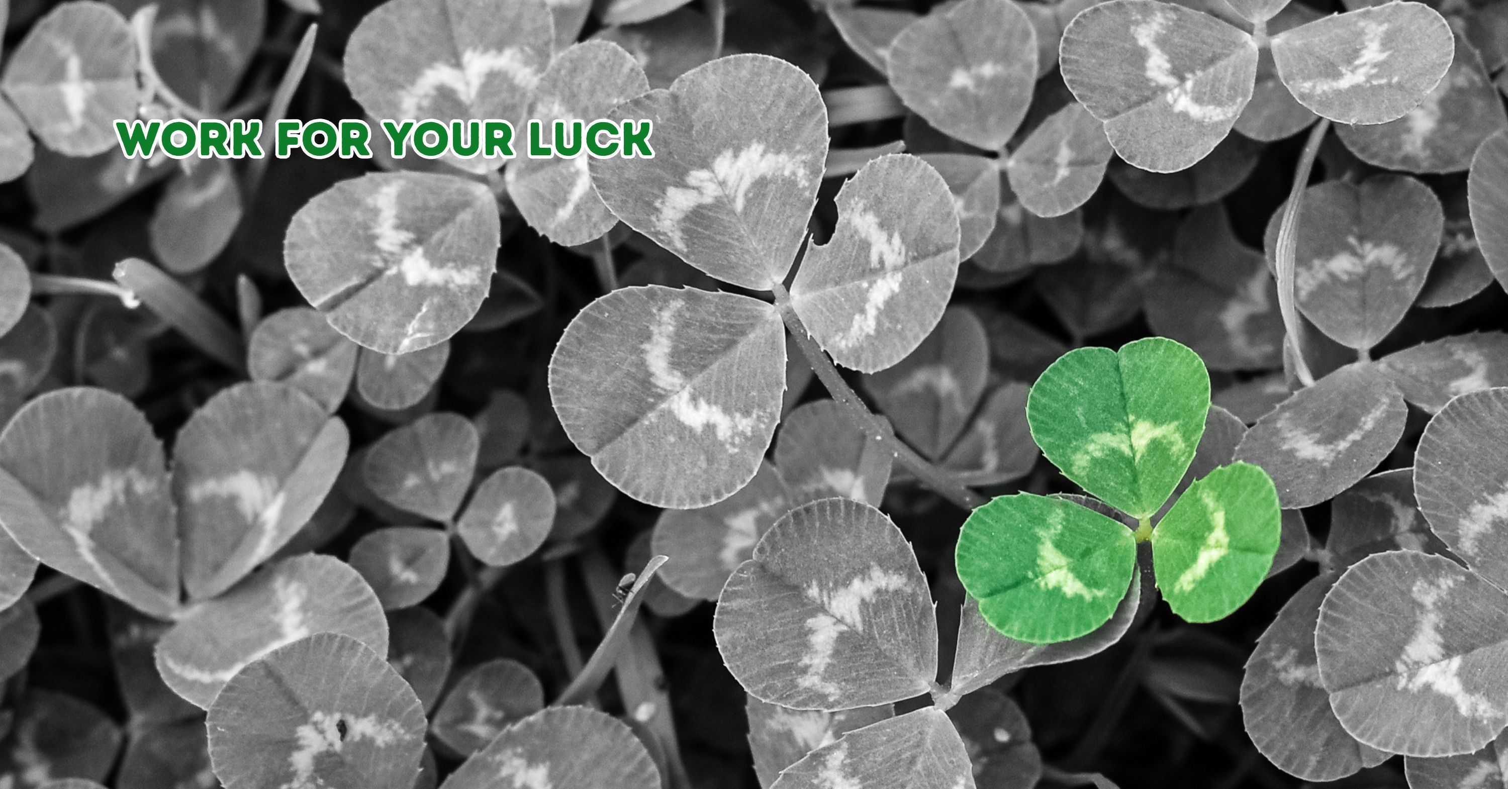 Work for Your Luck – Georgi Kisyov – Reflections & Books